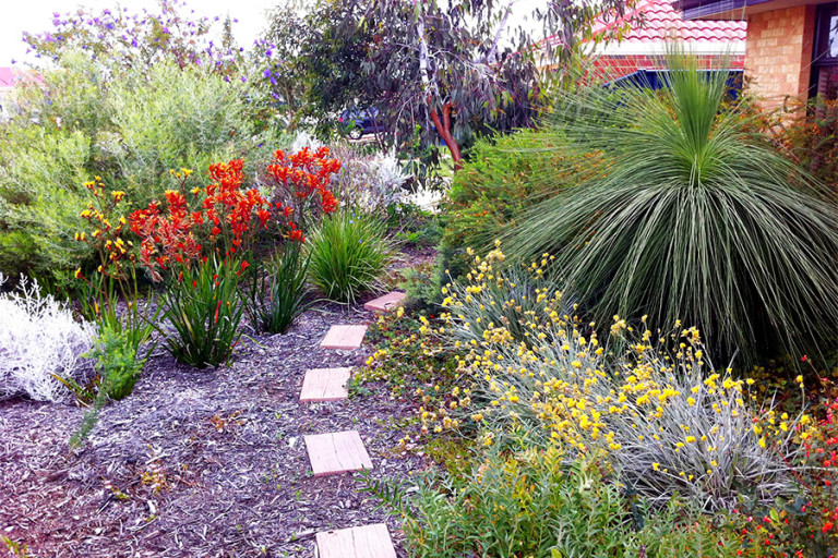 Verge Garden Enthusiast Pack - Sustainable Outdoors