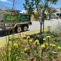 Verge Gardens | Sustainable Outdoors | Perth & Fremantle