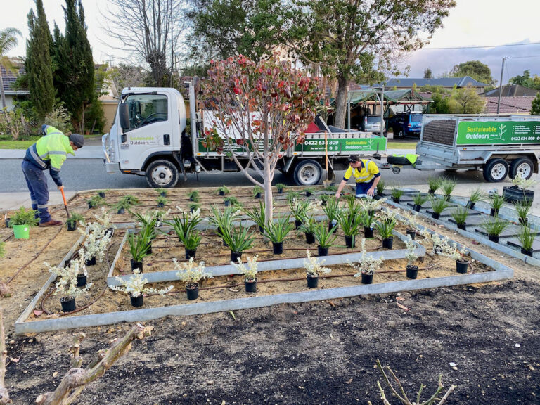 Verge Gardens | Sustainable Outdoors | Perth & Fremantle
